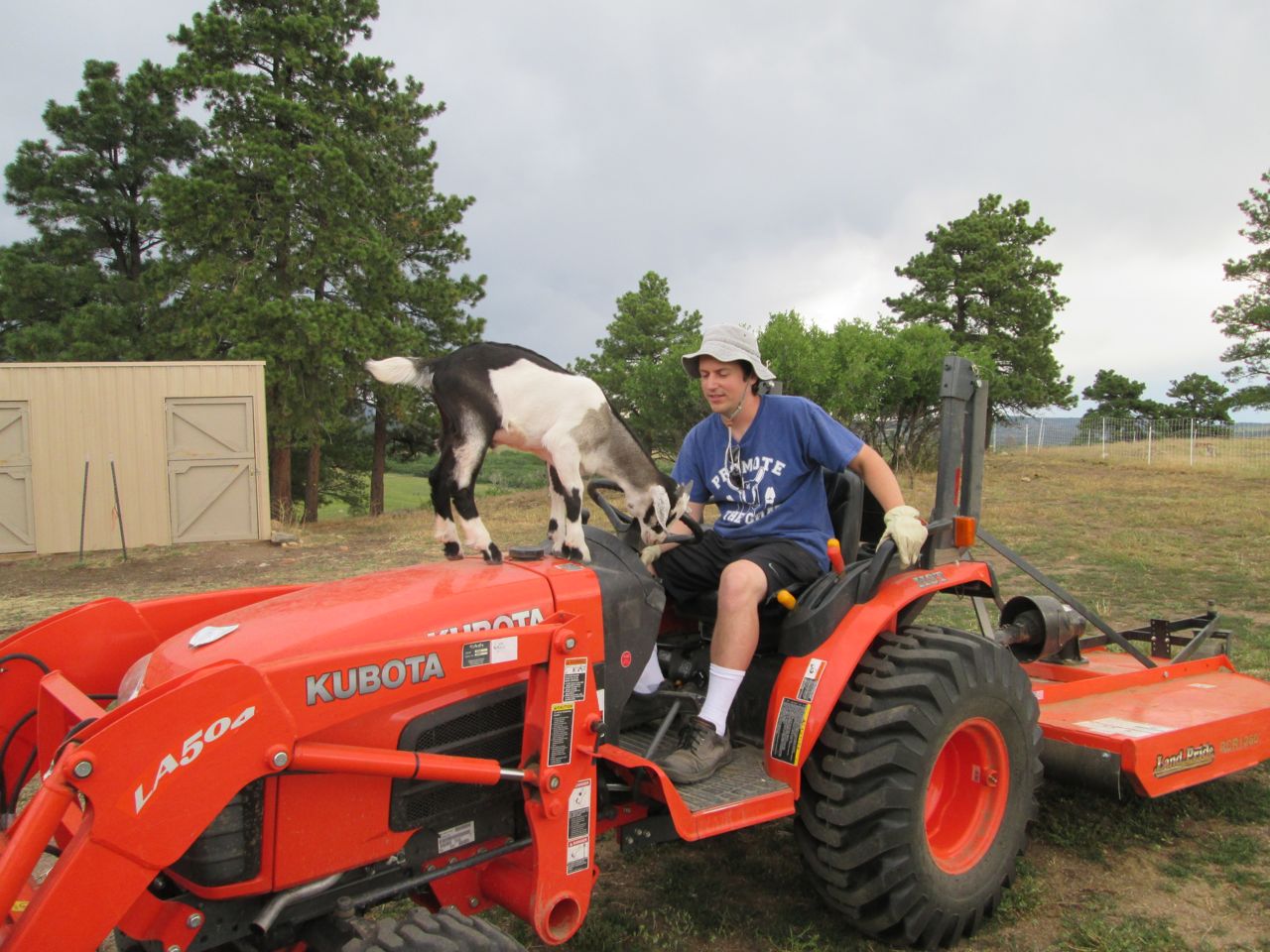 The Adventures of Huckleberry Finn | Goat-O-Rama