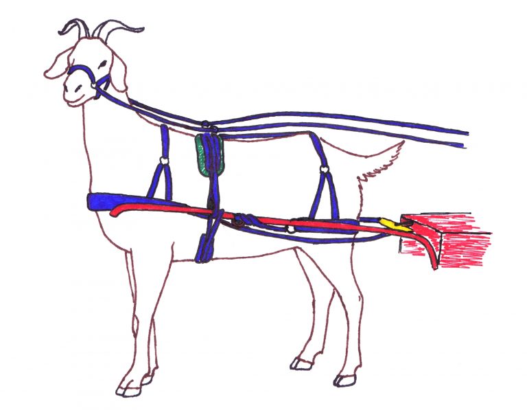 Articles | Goat-O-Rama