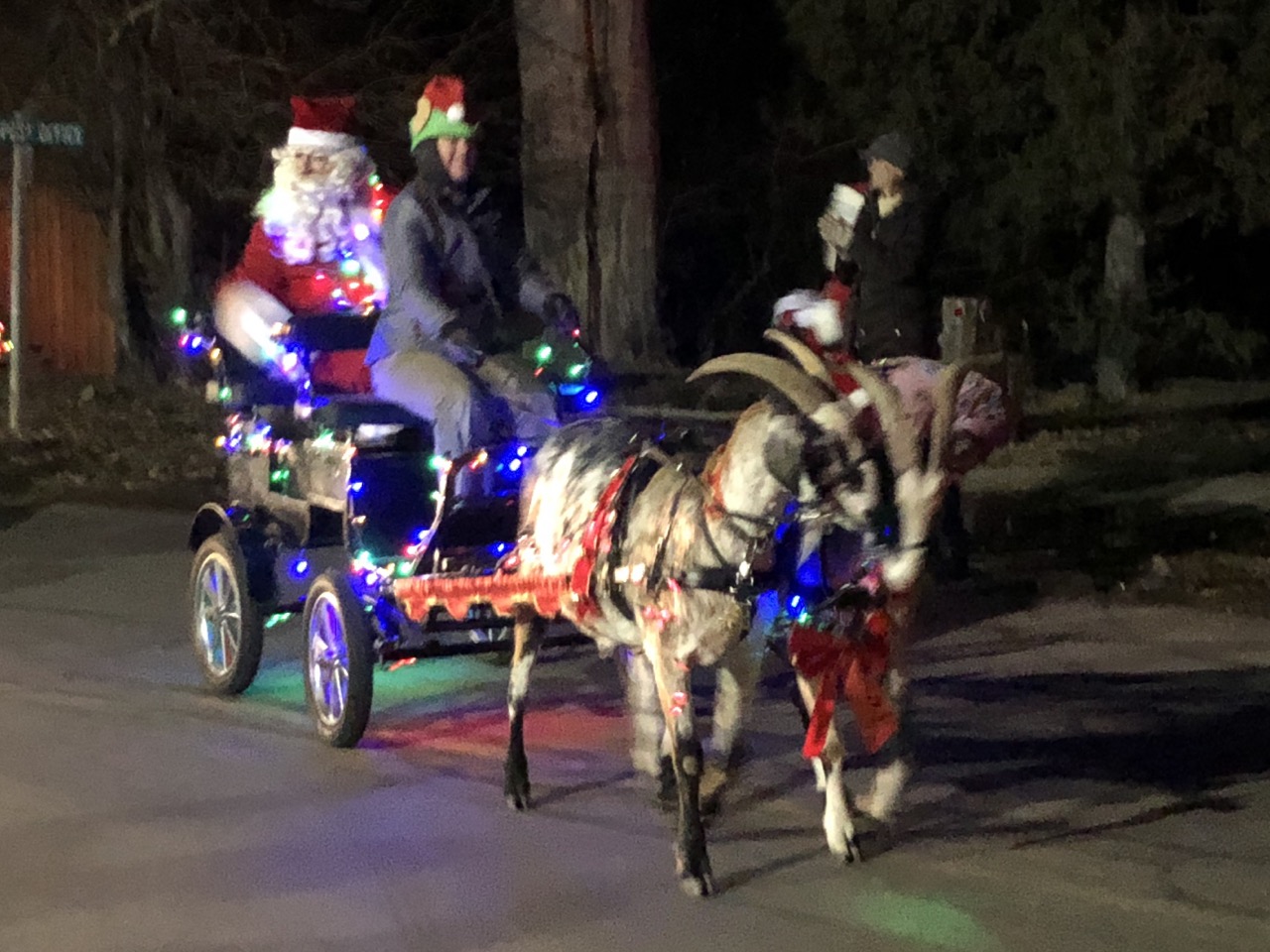 2019 Beulah Parade and Yule Log – A Goat-O-Rama Tradition! | Goat-O-Rama