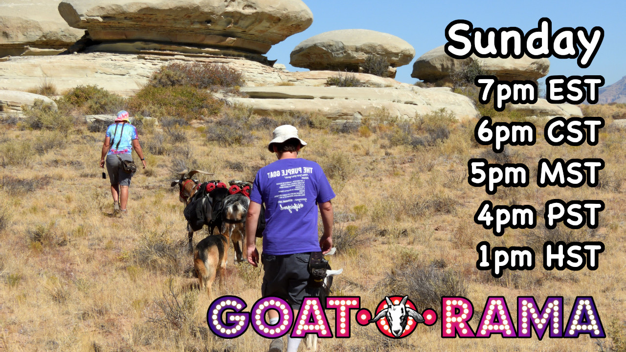 Goats in Utah Part 4 – Fiddle / Violin Live | Nov 1, 2020 | Goat-O-Rama