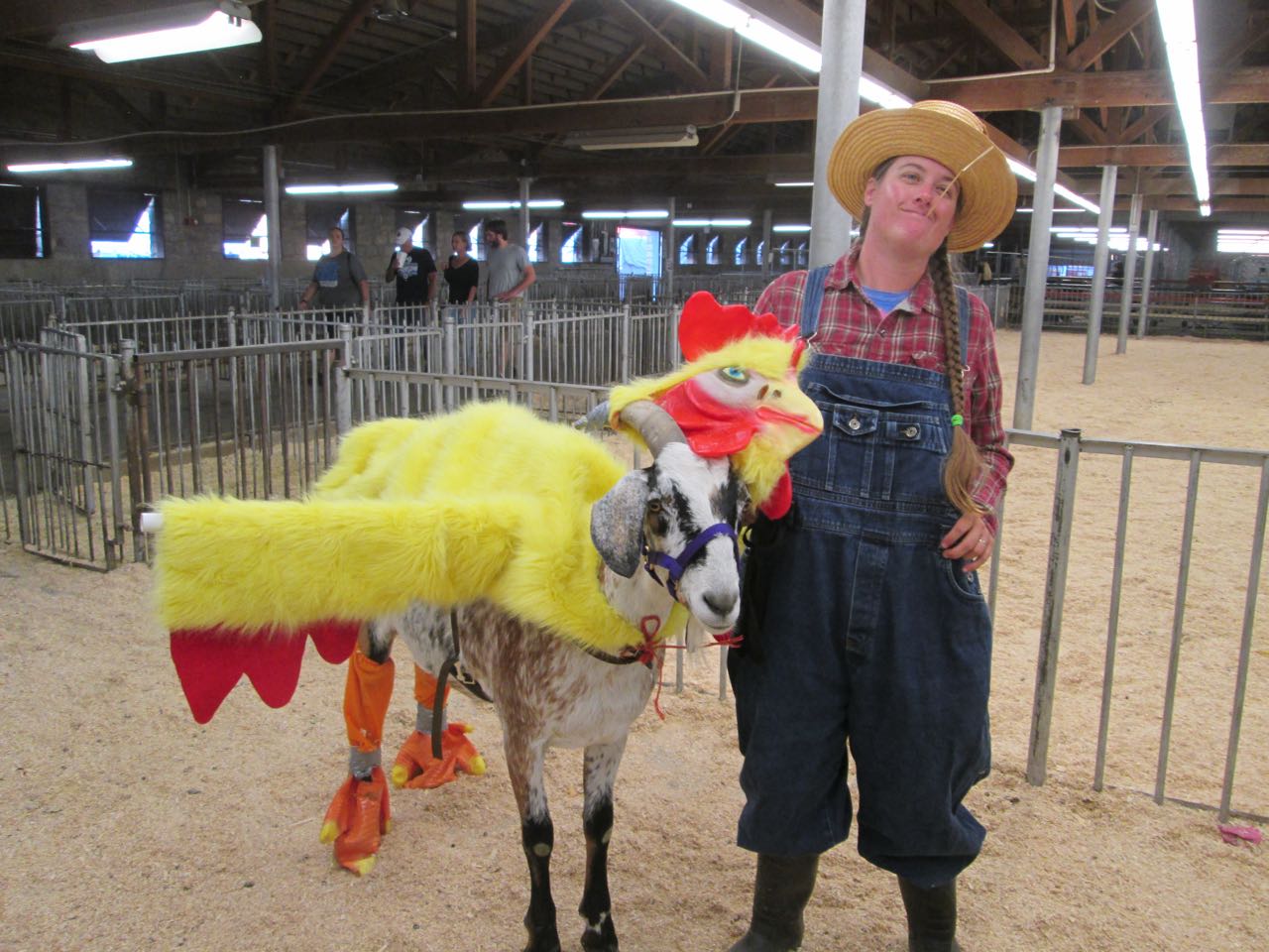 Goat-O-Rama | Put some color in your herd!